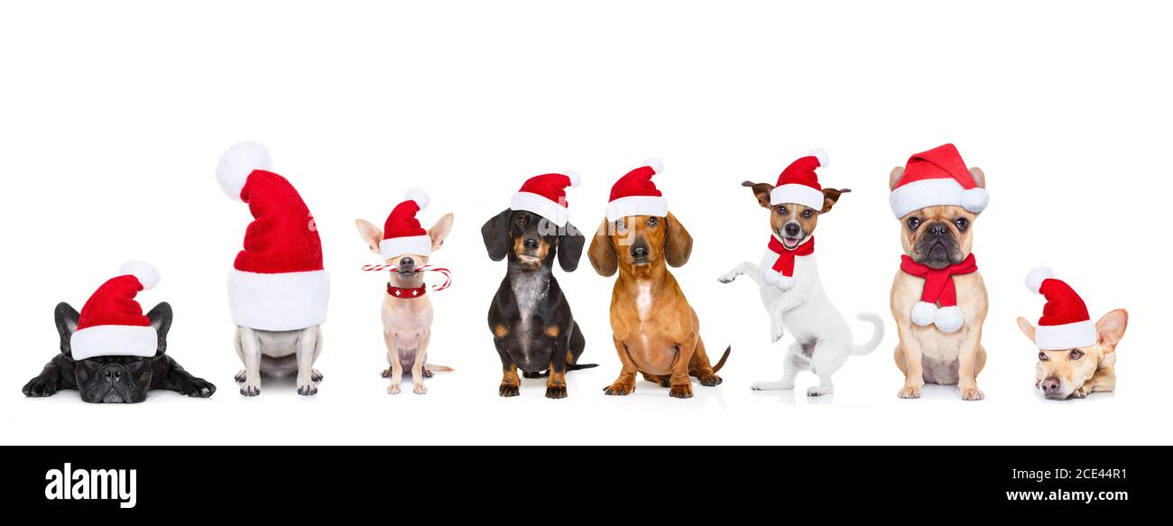 Merry christmas to team hi-res stock photography and images - Alamy