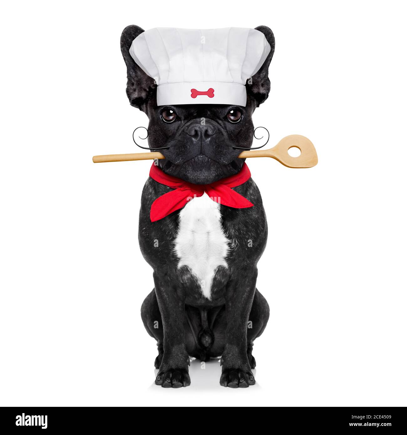 Kitchen dog Cut Out Stock Images & Pictures - Alamy