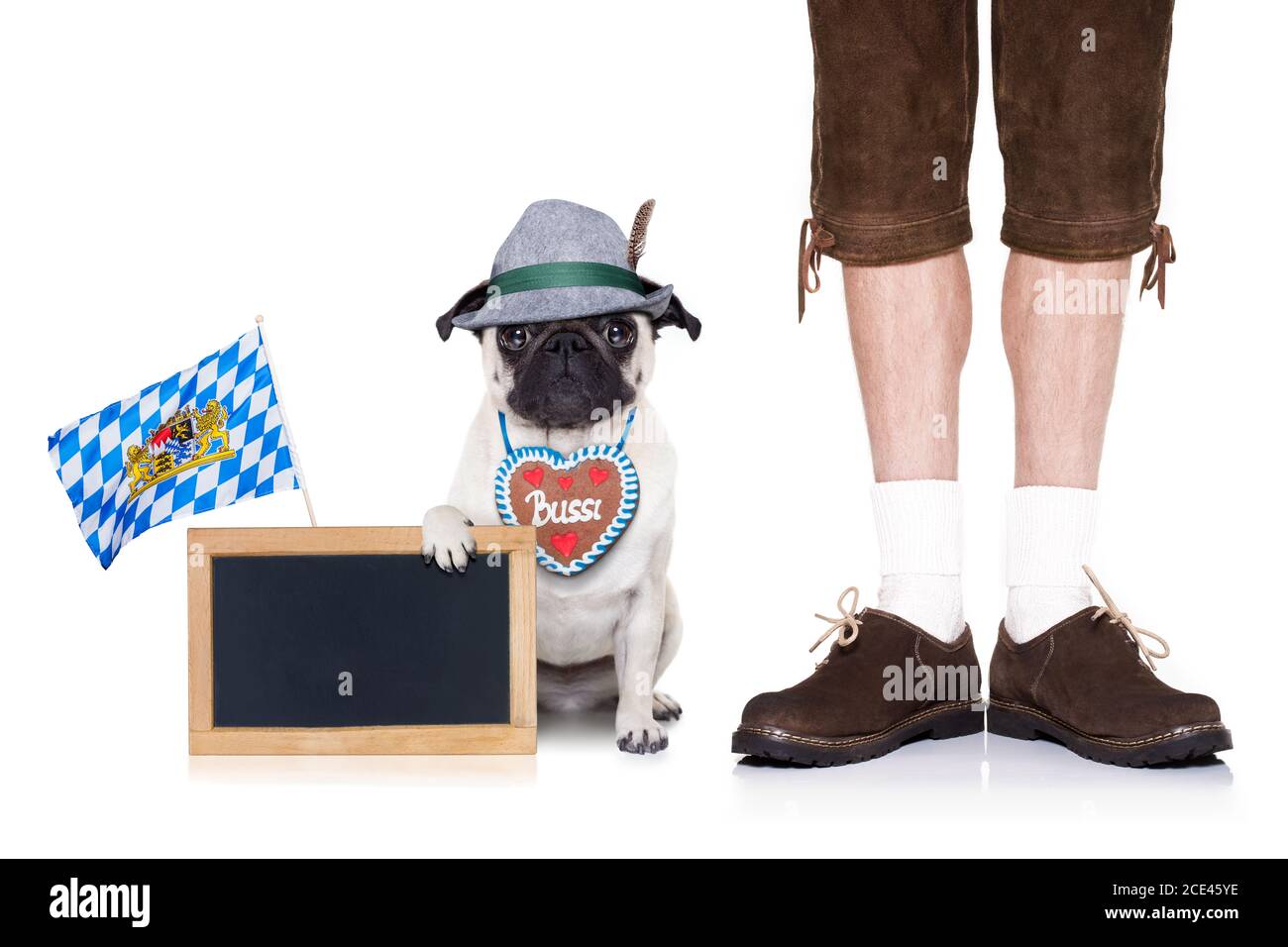 bavarian dog Stock Photo - Alamy