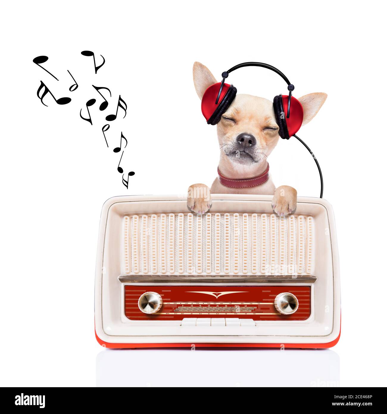 Relax my dog music hi-res stock photography and images - Alamy