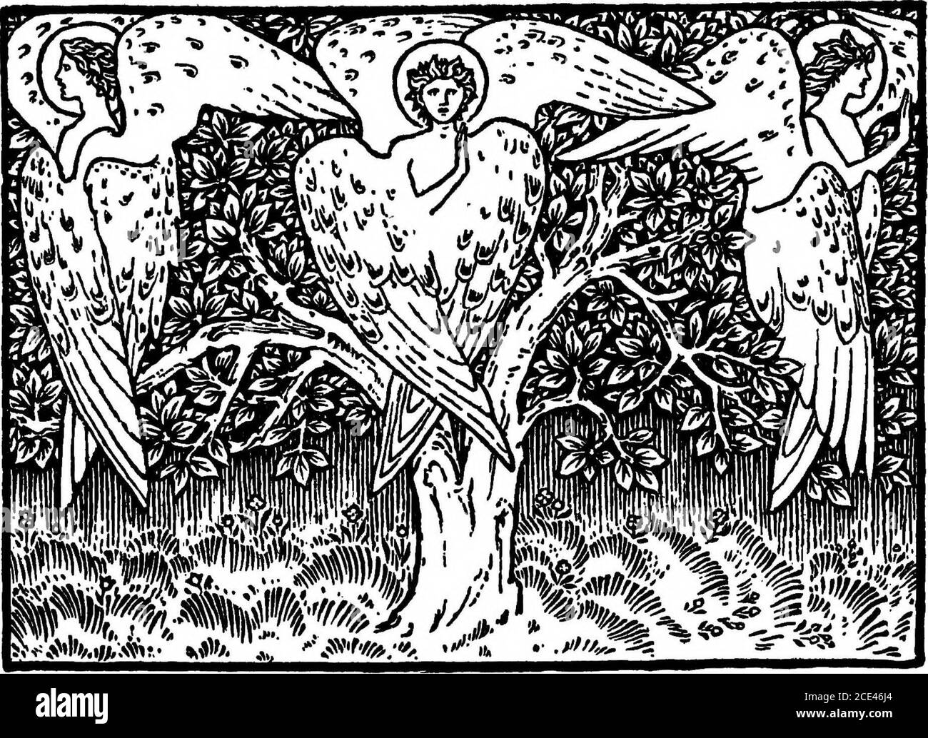 Bdellium Black and White Stock Photos & Images - Alamy