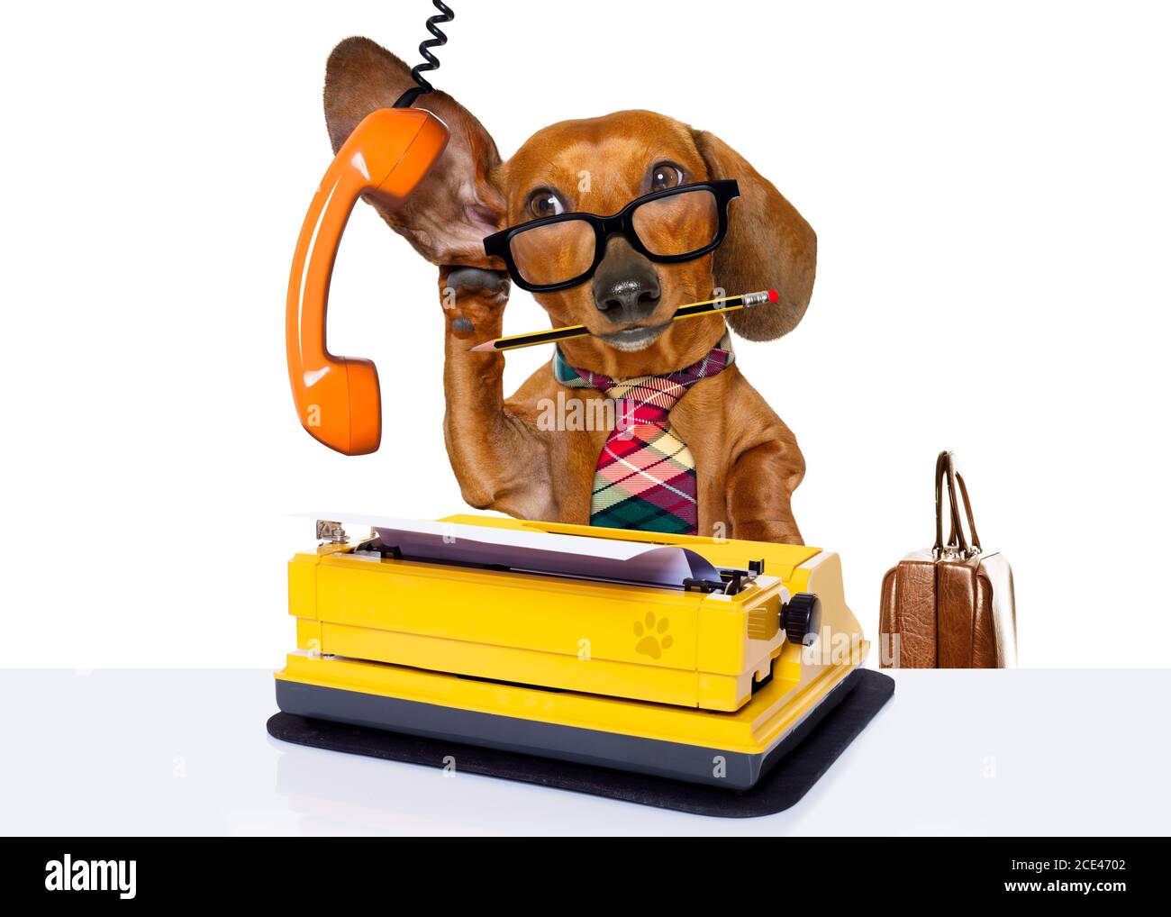 office worker boss dog Stock Photo - Alamy