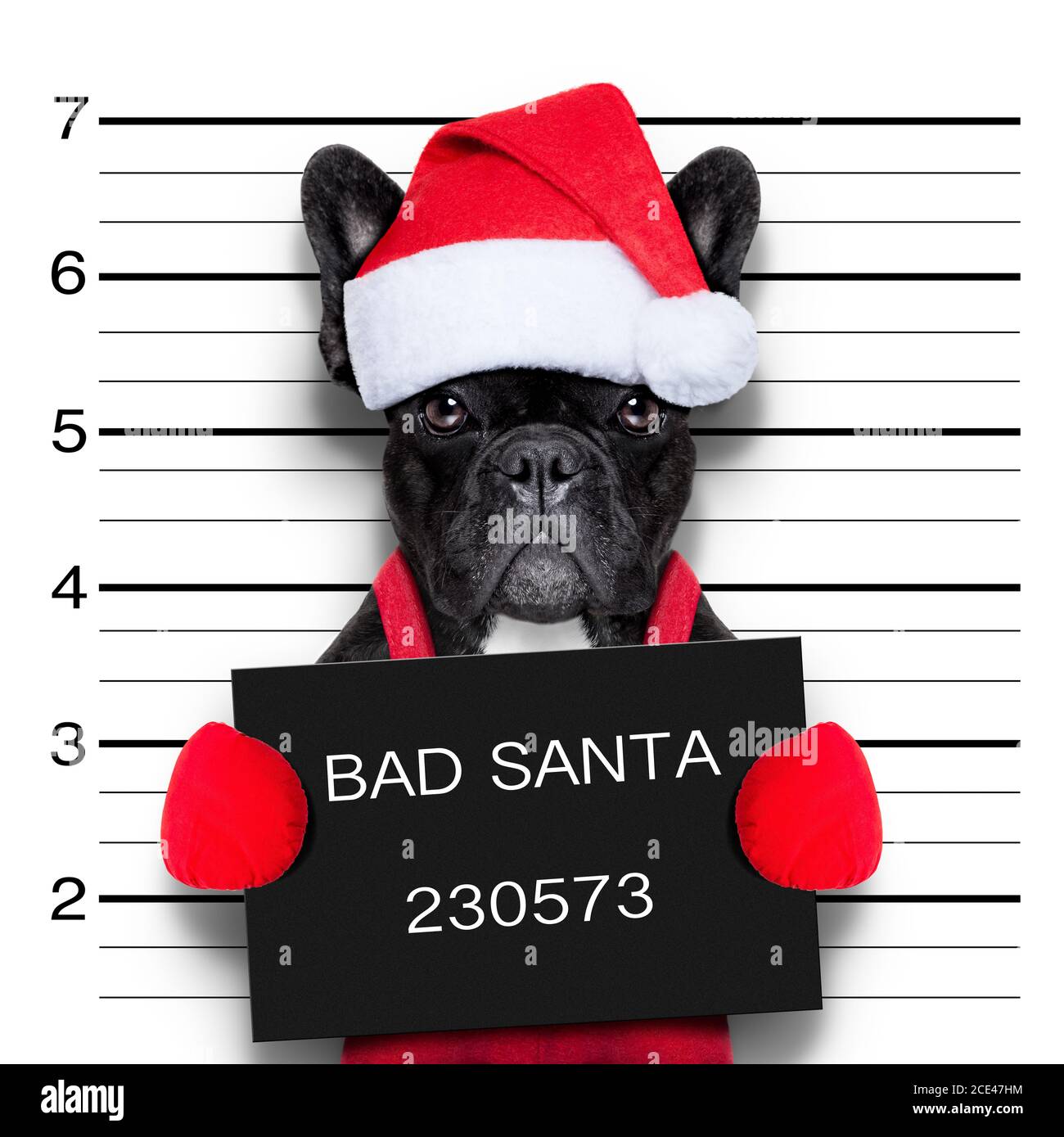 Christmas 2024 Mugshot Meaning Dyane Grethel