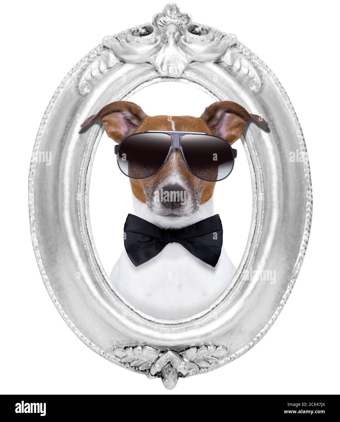 dog in a frame Stock Photo - Alamy