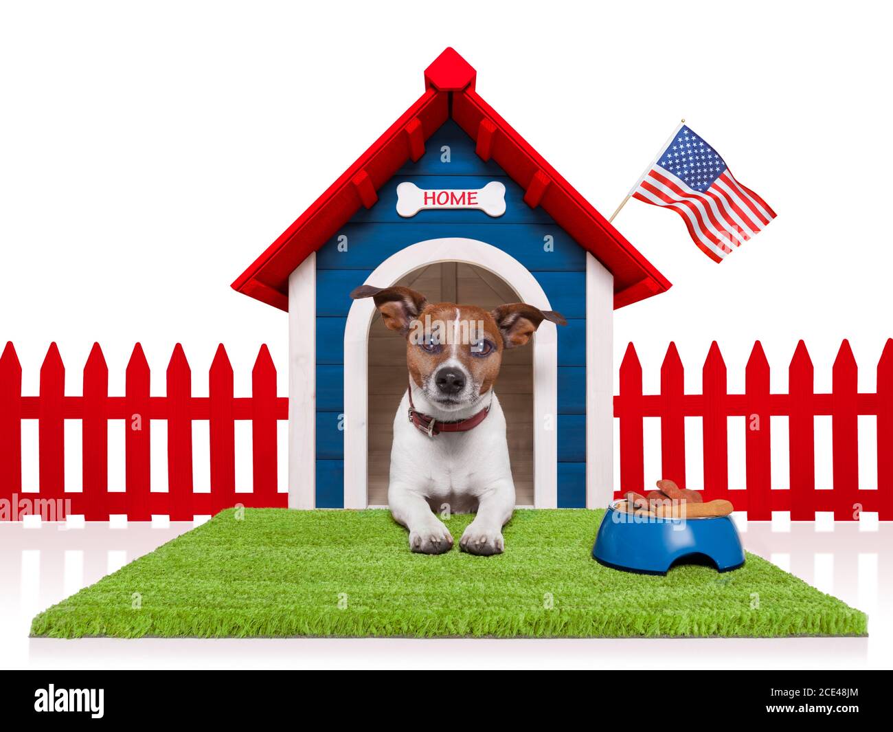 American house fence dog hi-res stock photography and images - Alamy
