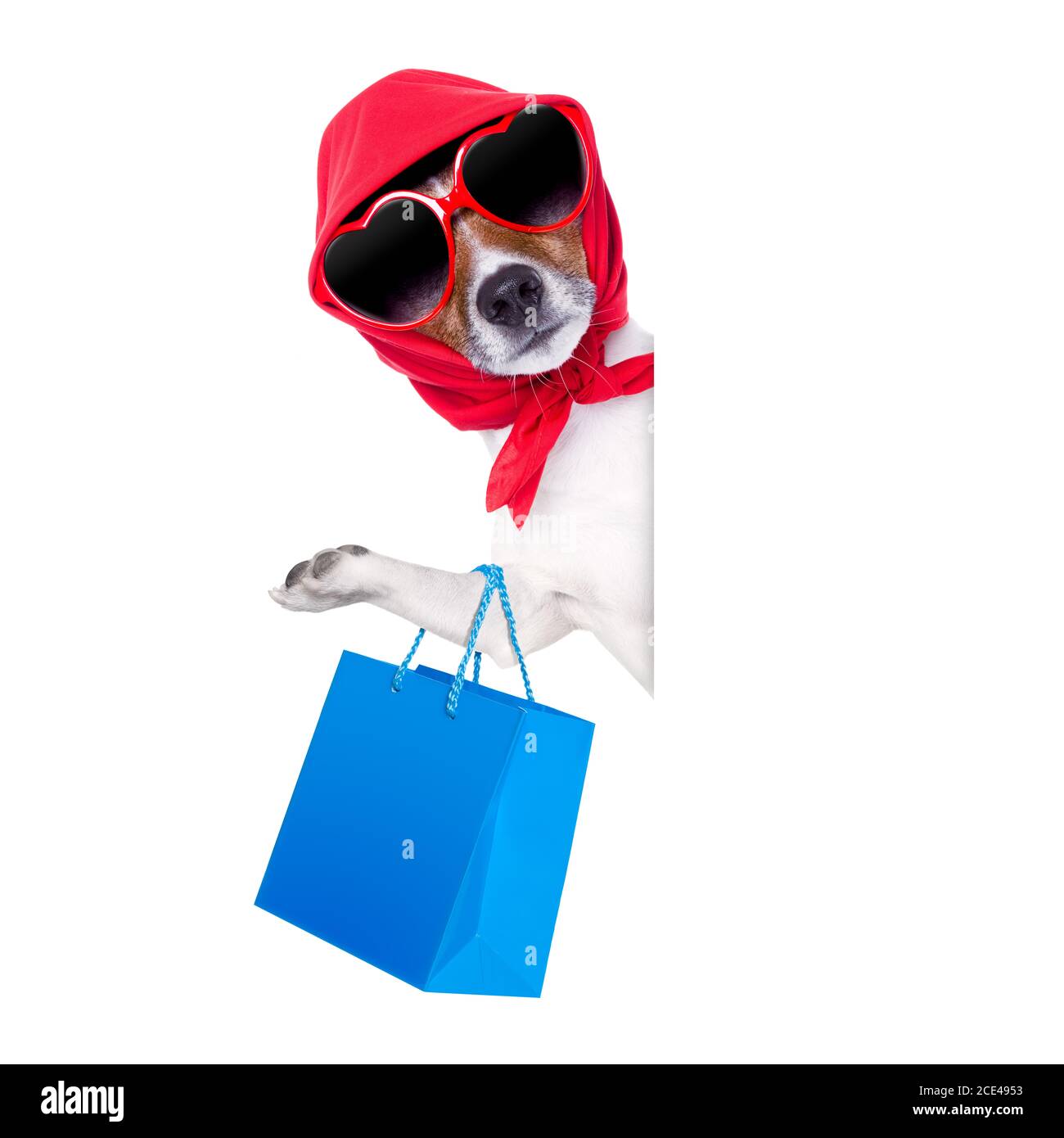 shopaholic shopping diva dog Stock Photo - Alamy