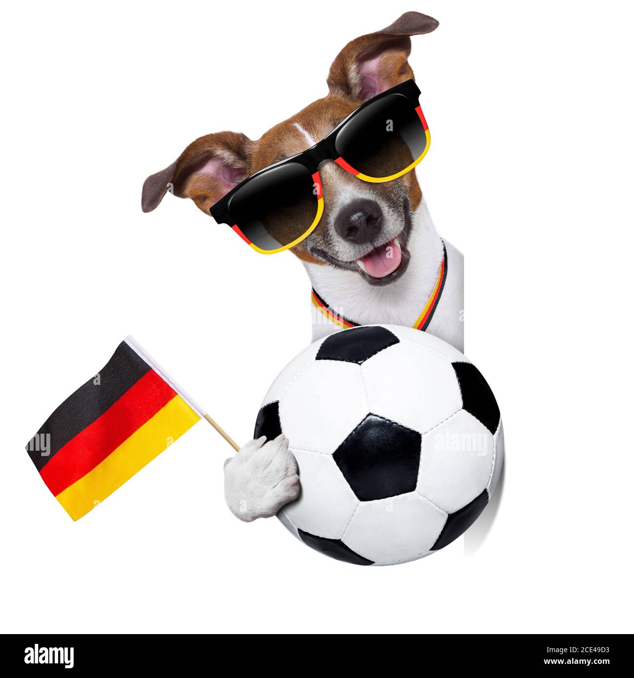 german soccer dog Stock Photo - Alamy