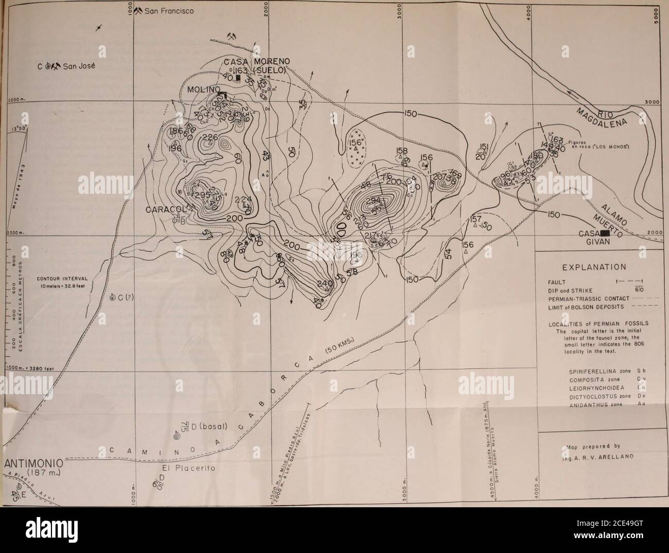 Triassic fauna hi-res stock photography and images - Alamy