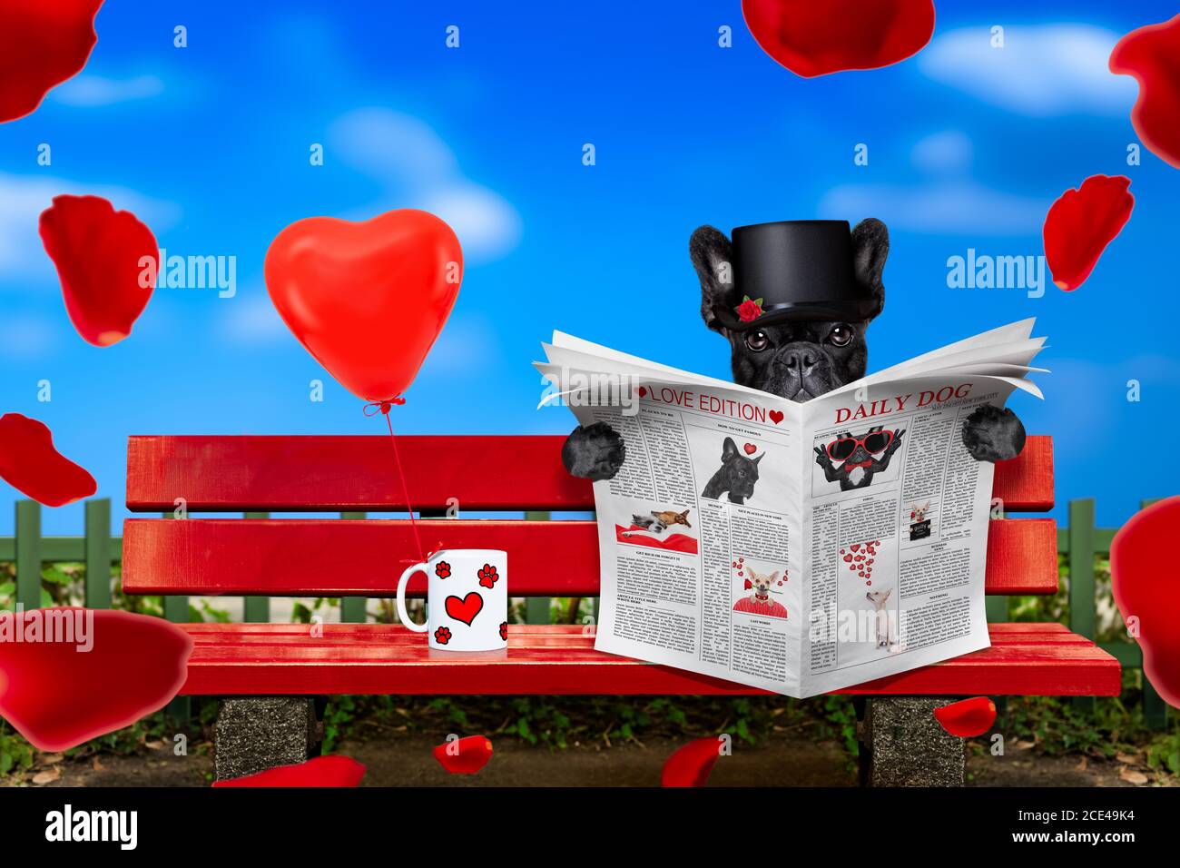 dog reading newspaper Stock Photo - Alamy