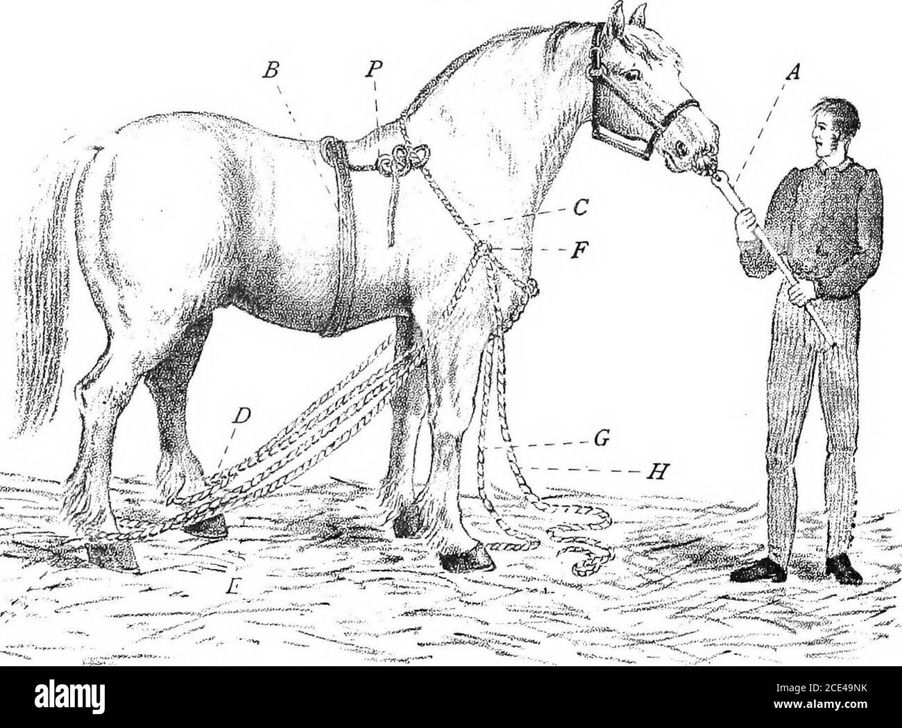 Practice 1 2 Cut Out Stock Images & Pictures - Alamy