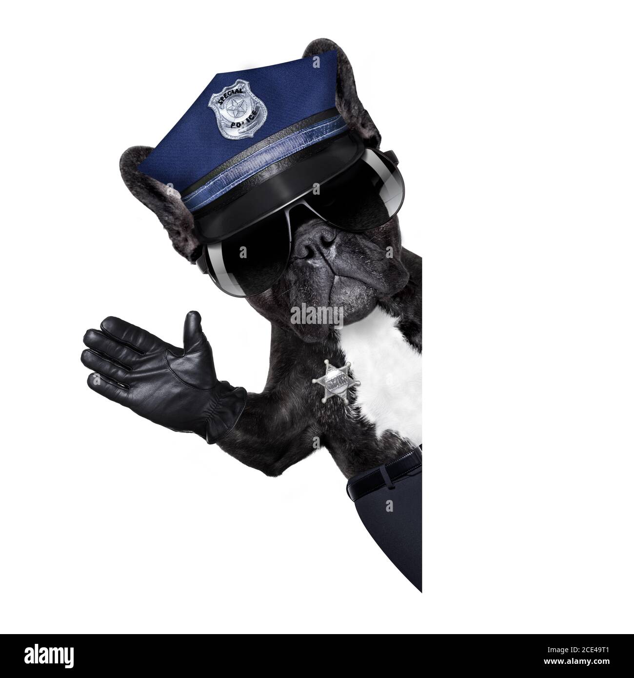 policeman dog with stop sign Stock Photo - Alamy