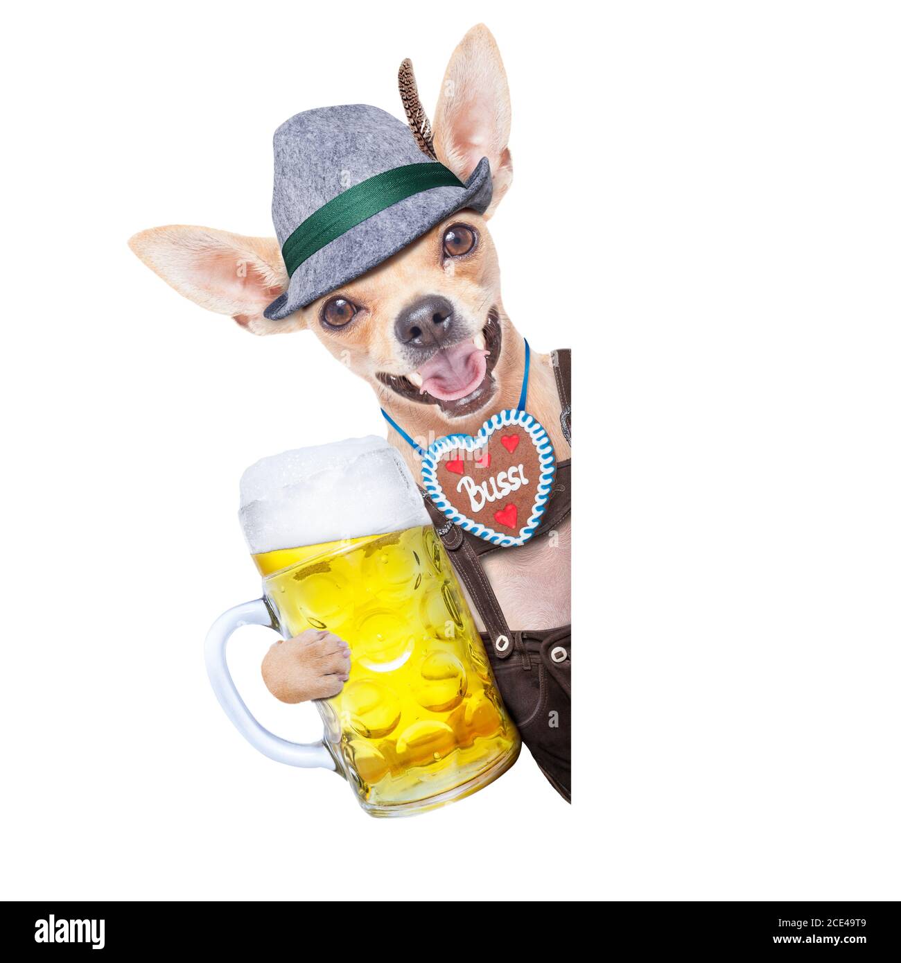 Animal drink beer poster hi-res stock photography and images - Alamy