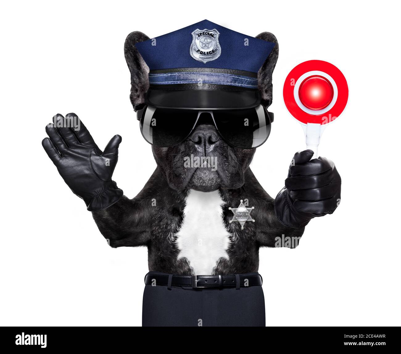 POLICE DOG ON DUTY WITH stop sign and hand Stock Photo - Alamy