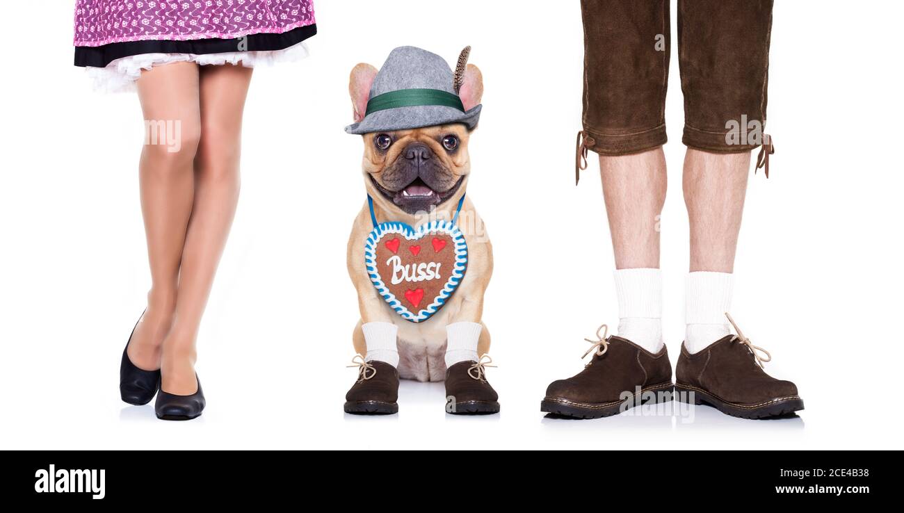 bavarian dog Stock Photo - Alamy
