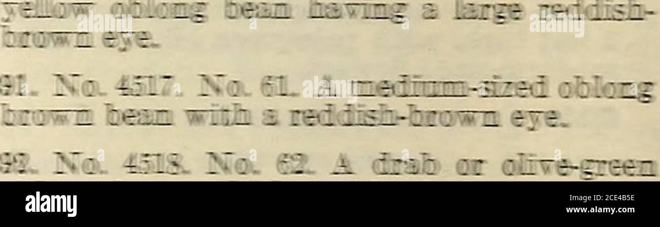 Bookidplantinvento High Resolution Stock Photography and Images - Alamy