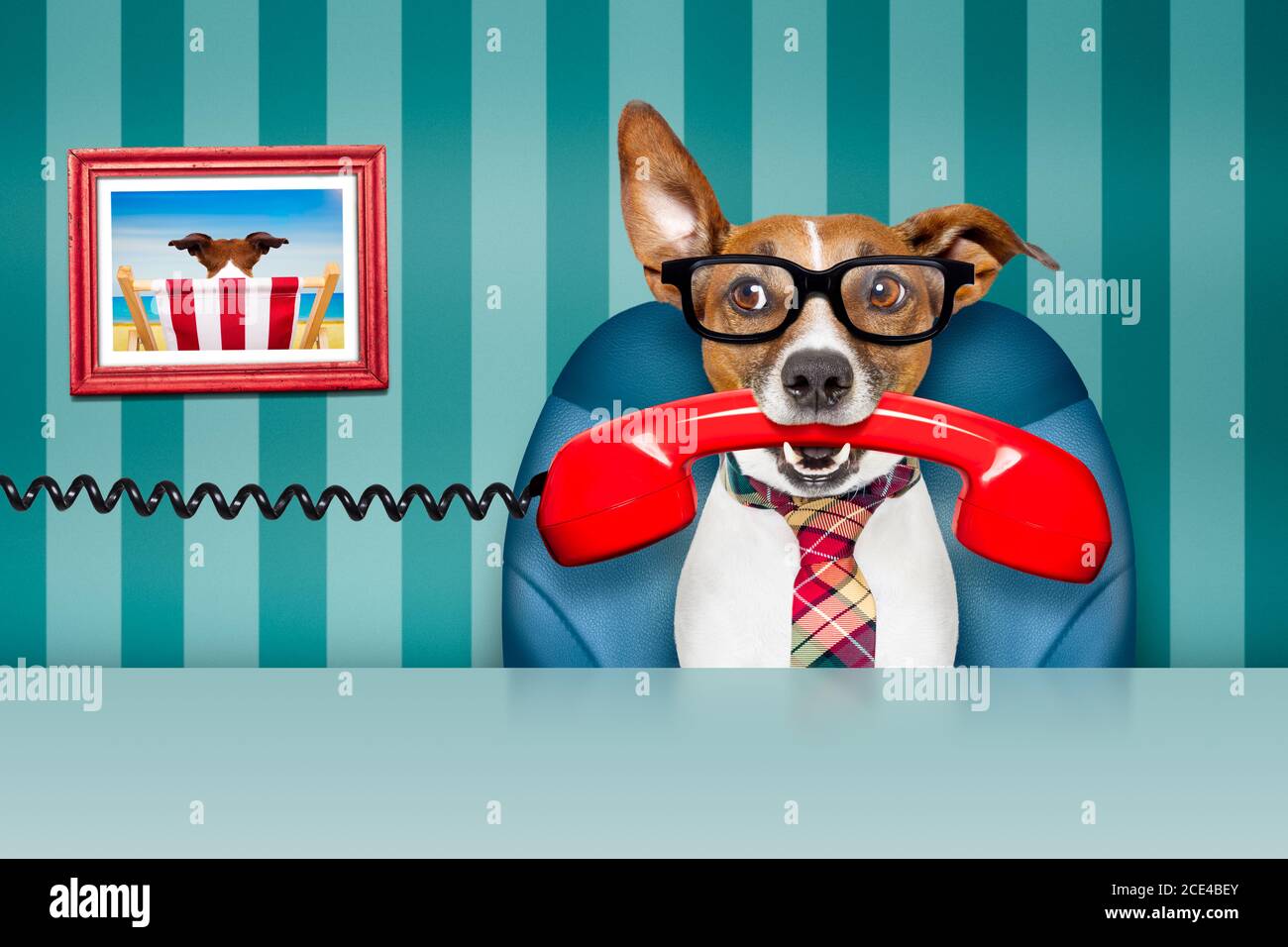 office worker boss dog Stock Photo - Alamy