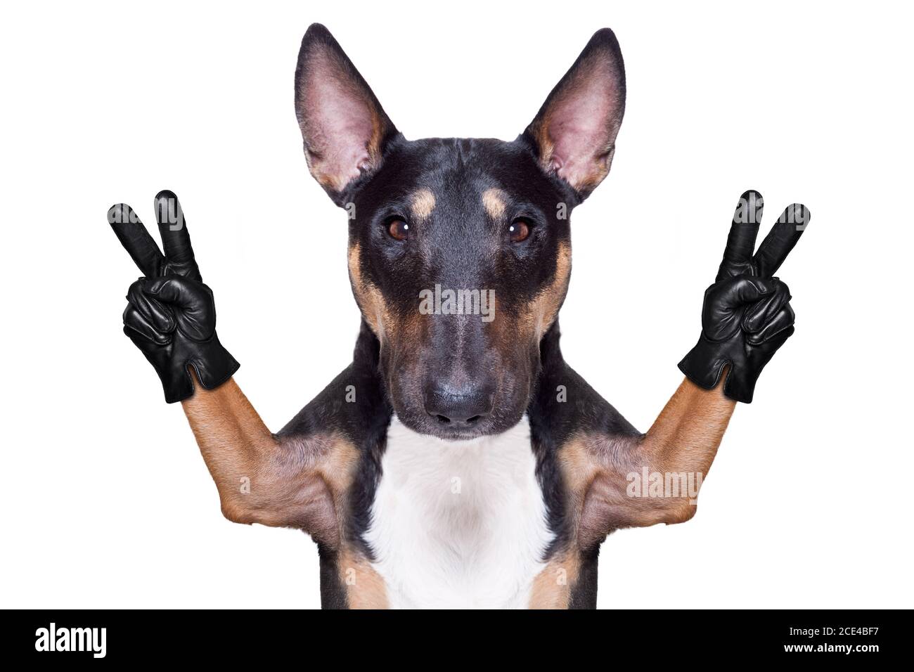 Fingers near mouth hi-res stock photography and images - Alamy