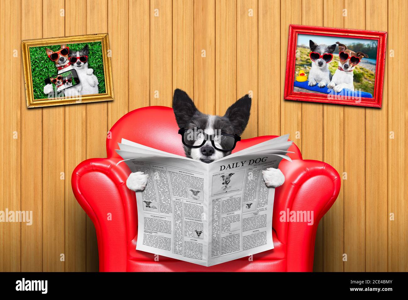 dog reading newspaper Stock Photo - Alamy