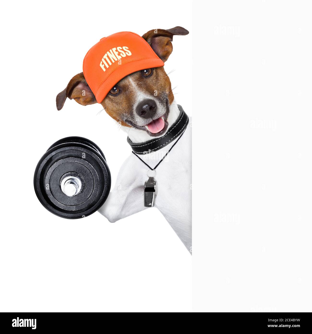 Fitness club gym banner poster hi-res stock photography and images - Alamy