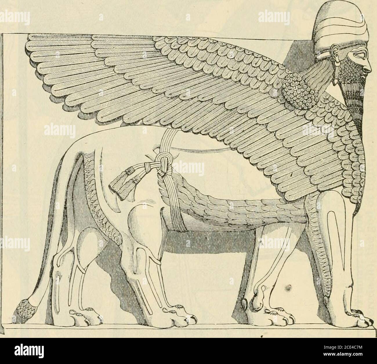 . The student's Bible : containg the Old and New Testaments according ...