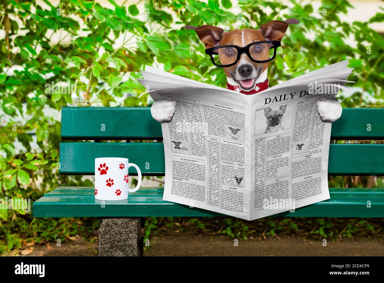 dog reading newspaper Stock Photo - Alamy