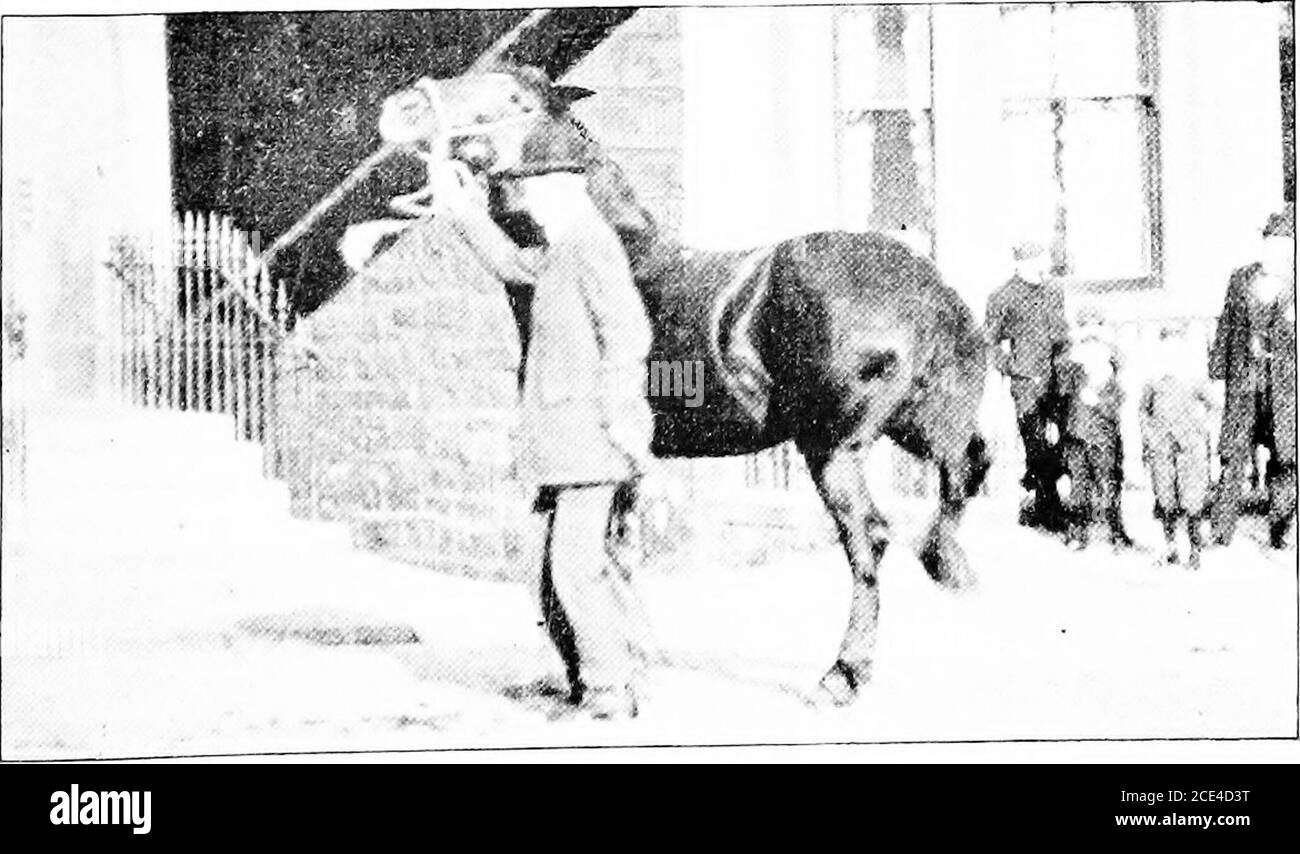 Tibial nerves Black and White Stock Photos & Images - Alamy