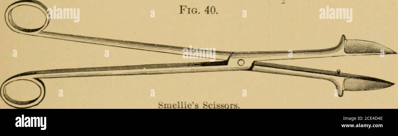 Perforators High Resolution Stock Photography and Images - Alamy