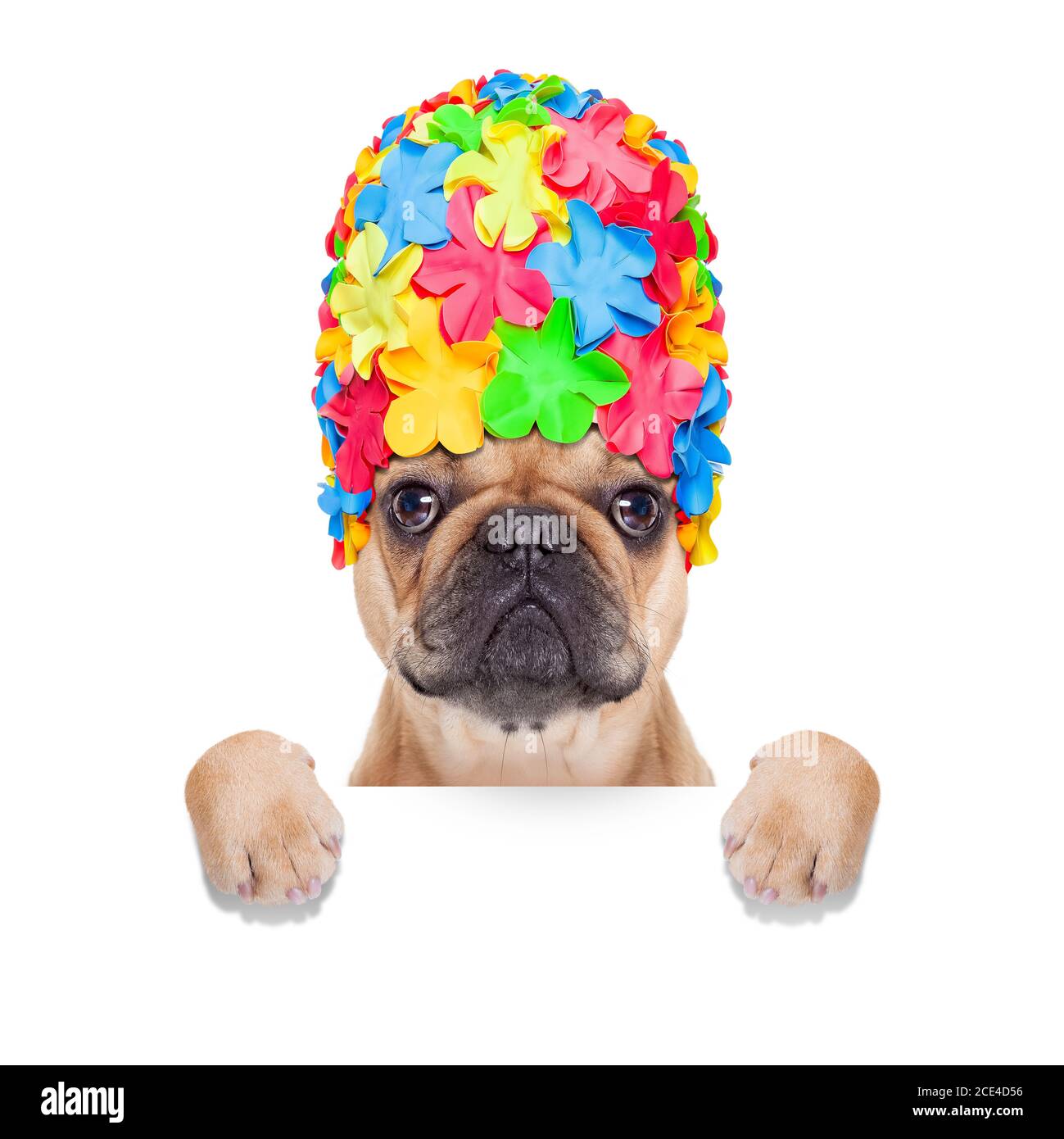 French swimming Cut Out Stock Images & Pictures - Alamy