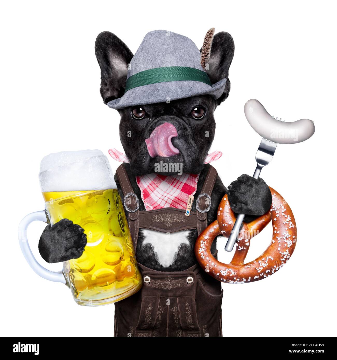bavarian beer celebration dog Stock Photo - Alamy