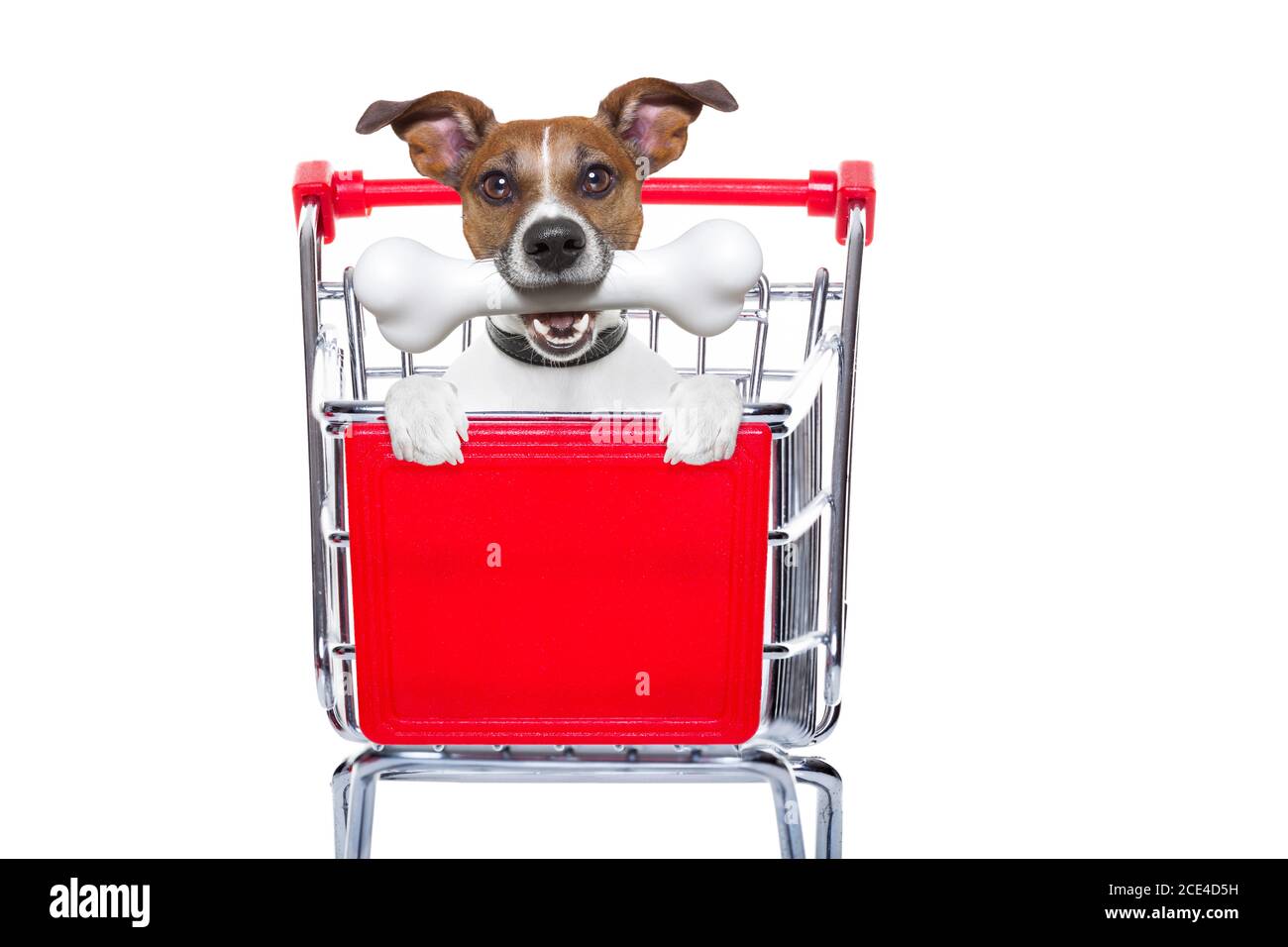 Supermarket cart dog hi-res stock photography and images - Alamy