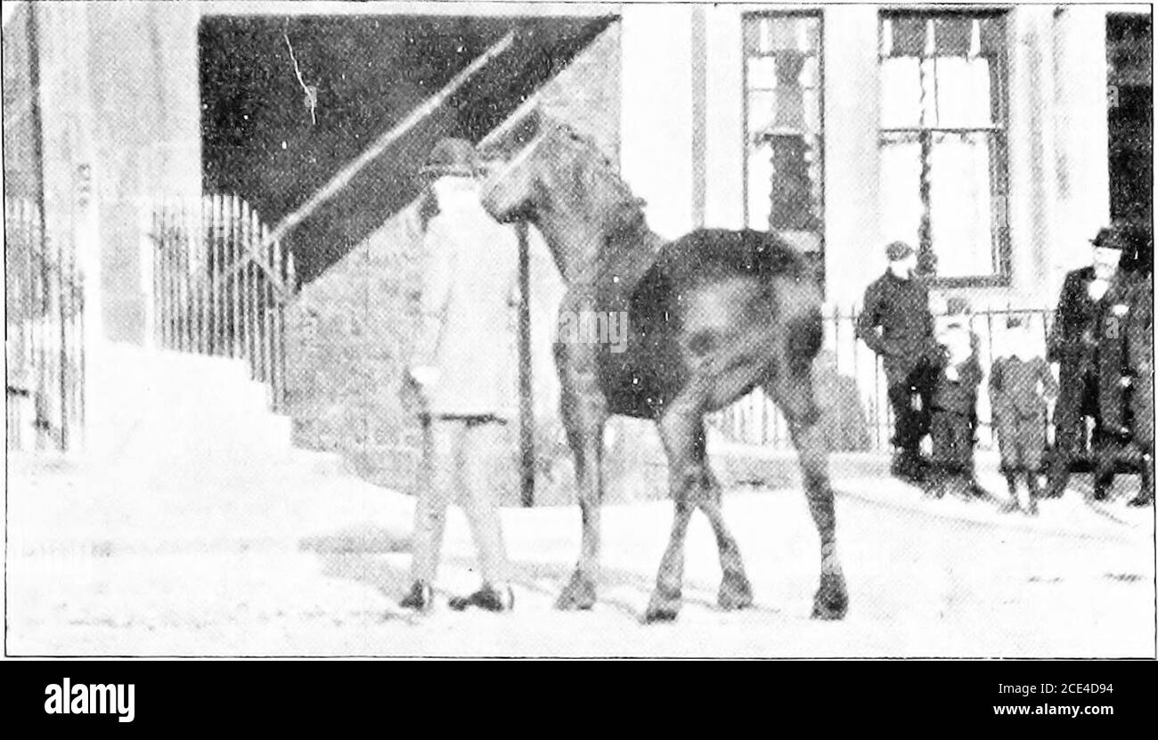 Great sciatic Black and White Stock Photos & Images - Alamy