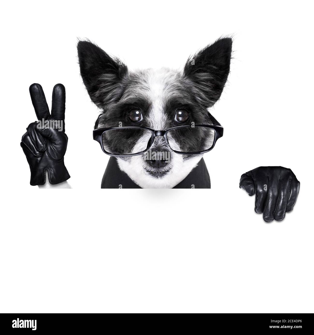 Peace placard Cut Out Stock Images & Pictures - Alamy