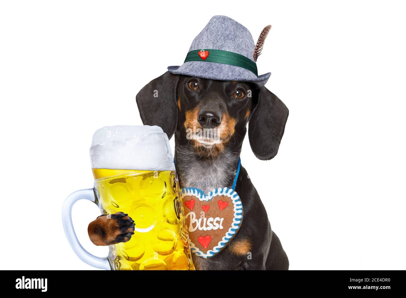 bavarian beer dog Stock Photo - Alamy