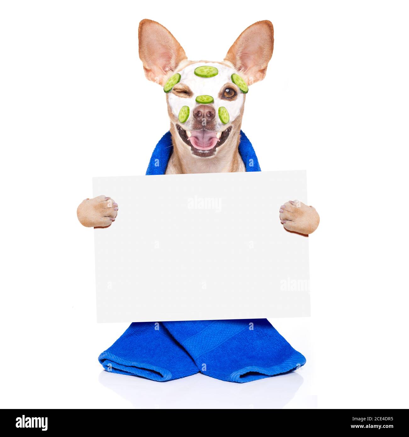 Beauty cream dog Cut Out Stock Images & Pictures - Alamy