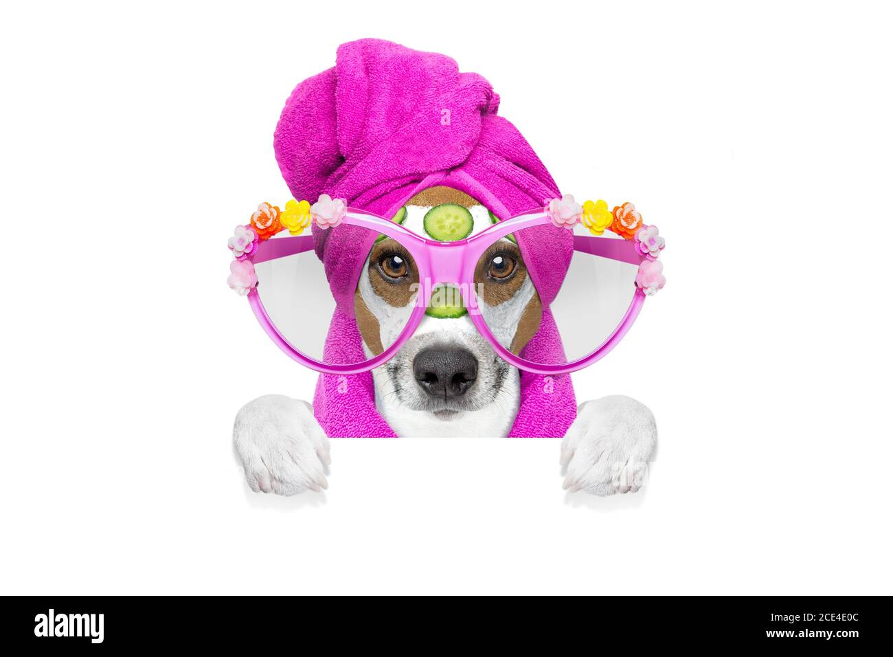 dog wellness spa center Stock Photo - Alamy
