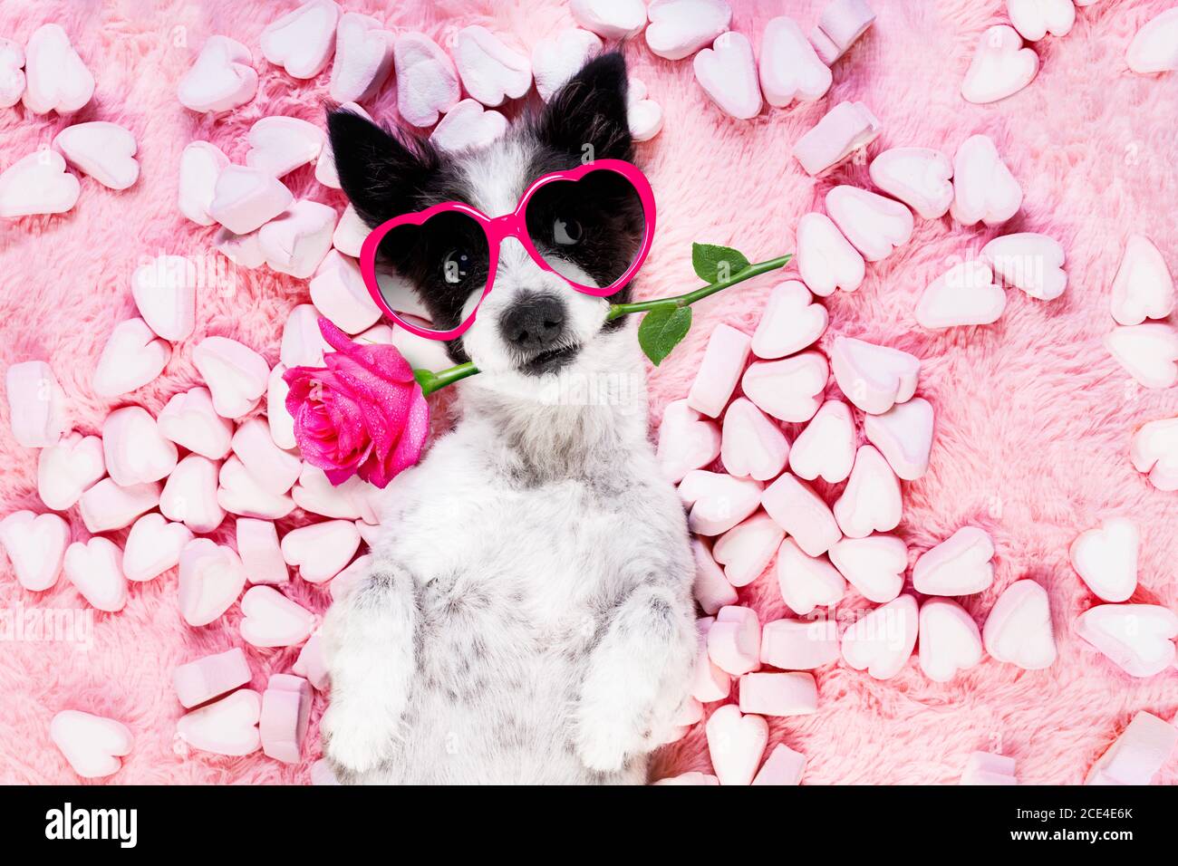 Valentines dat hi-res stock photography and images - Alamy