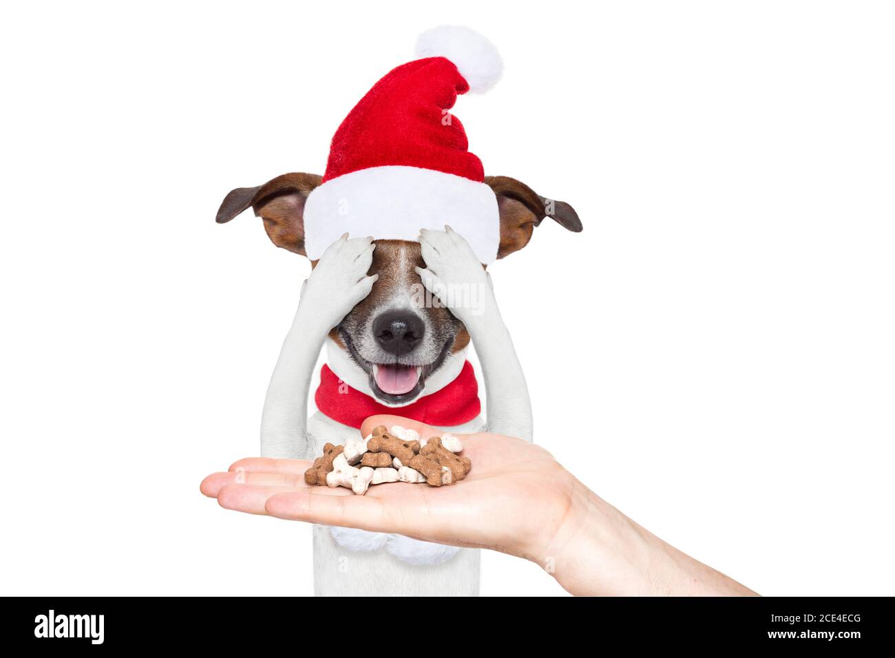 Surprised owner hi-res stock photography and images - Alamy