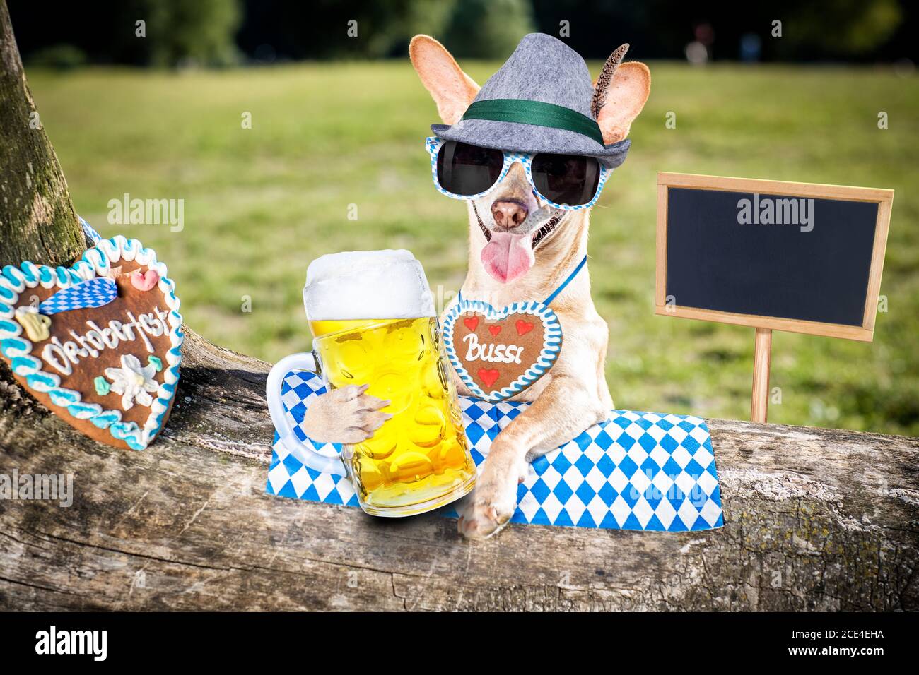 bavarian beer dog Stock Photo - Alamy