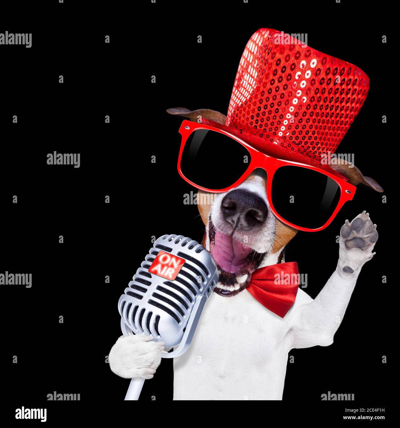 Singing dog hi-res stock photography and images - Alamy