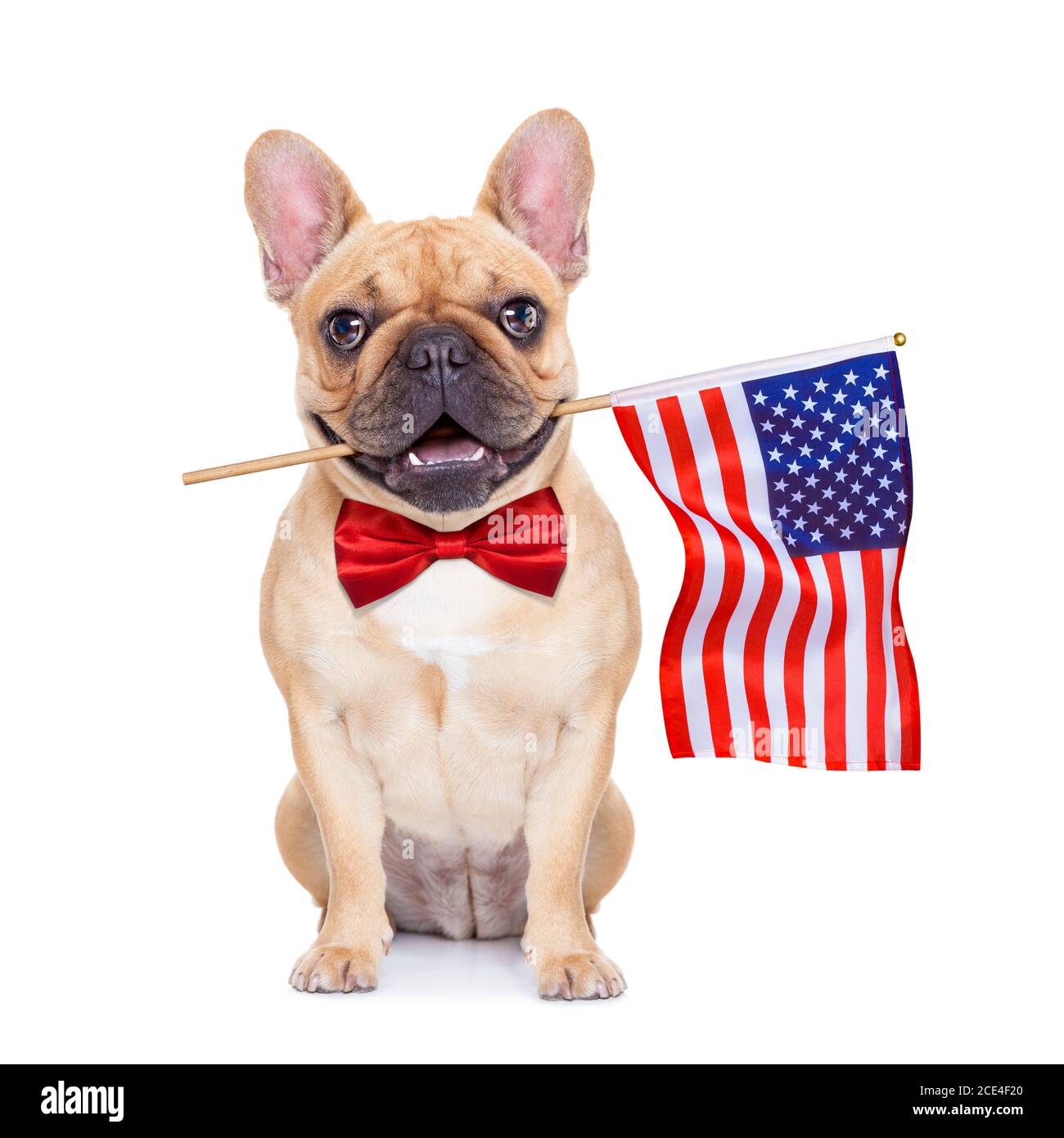 French memorial day Cut Out Stock Images & Pictures - Alamy