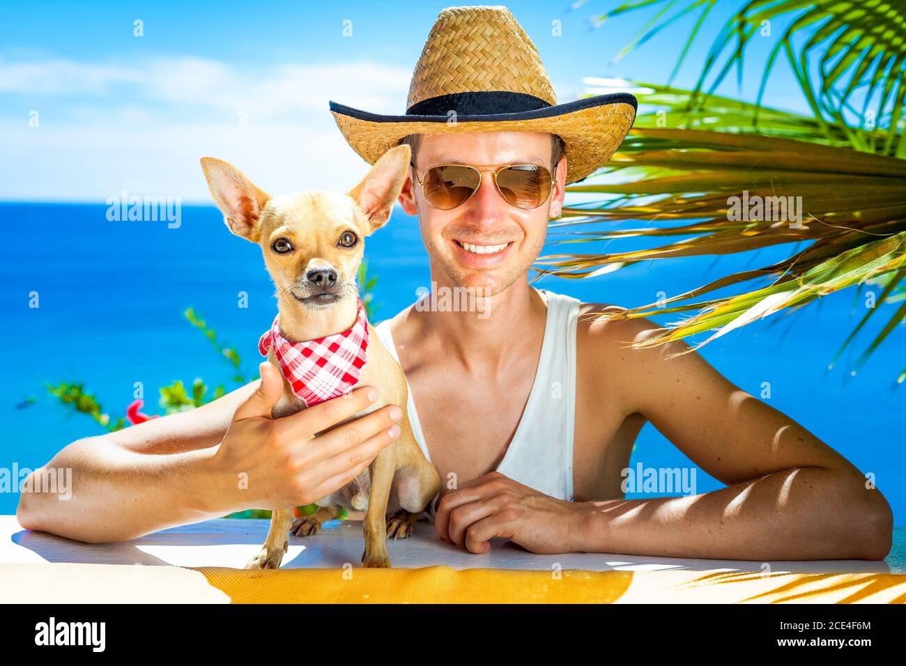 dog and owner Stock Photo - Alamy