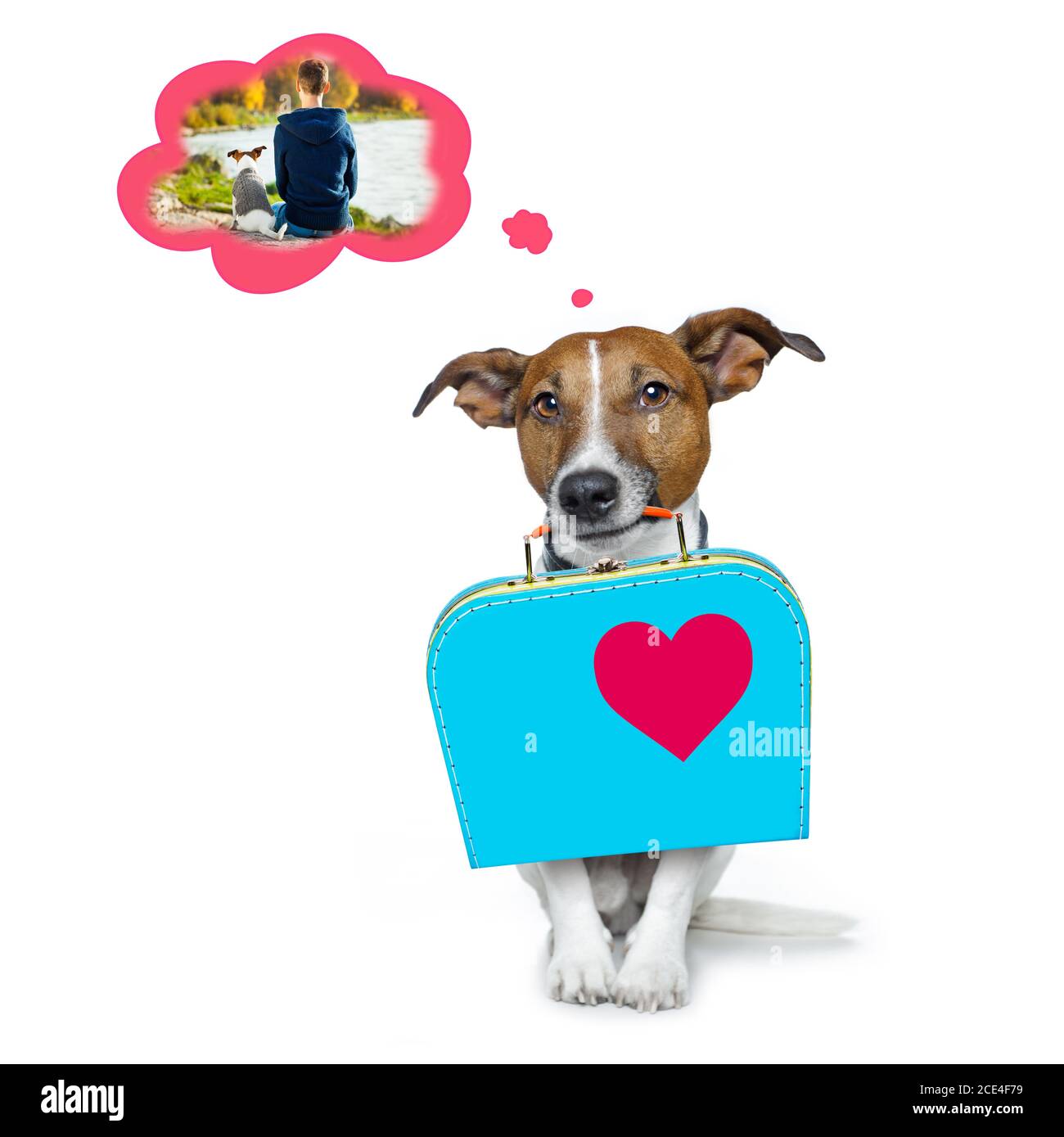 dog missing owner and abandoned Stock Photo - Alamy