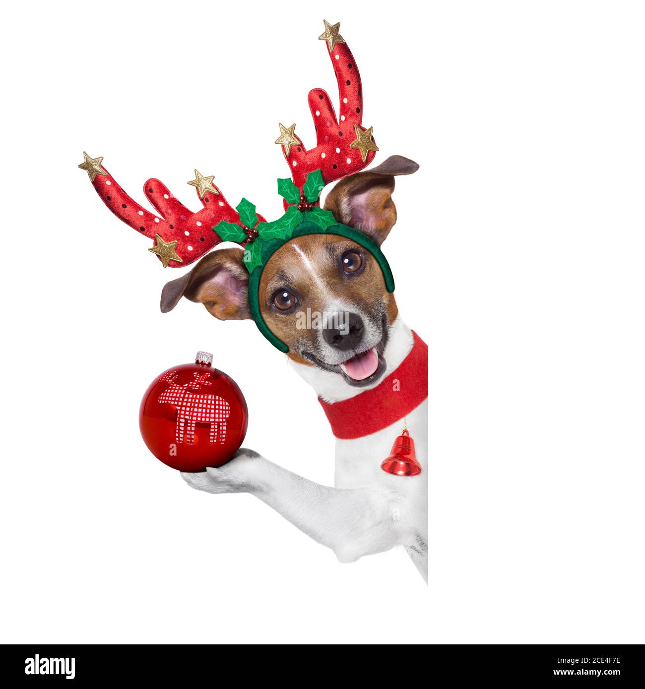 Festive reindeer puppy hi-res stock photography and images - Alamy