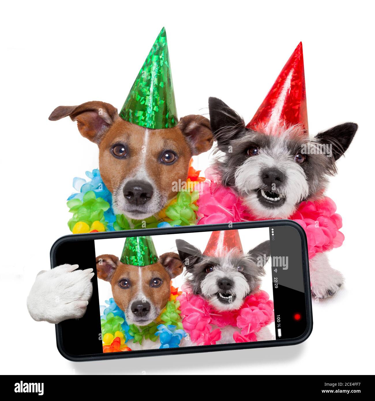 Party selfie Cut Out Stock Images & Pictures - Alamy