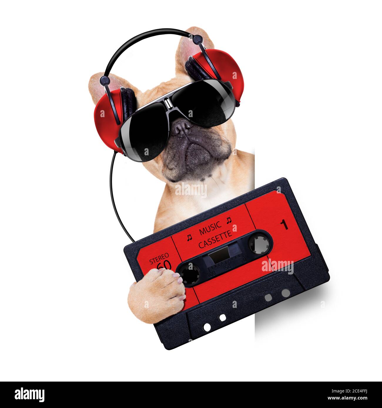 Disco dog hi-res stock photography and images - Alamy
