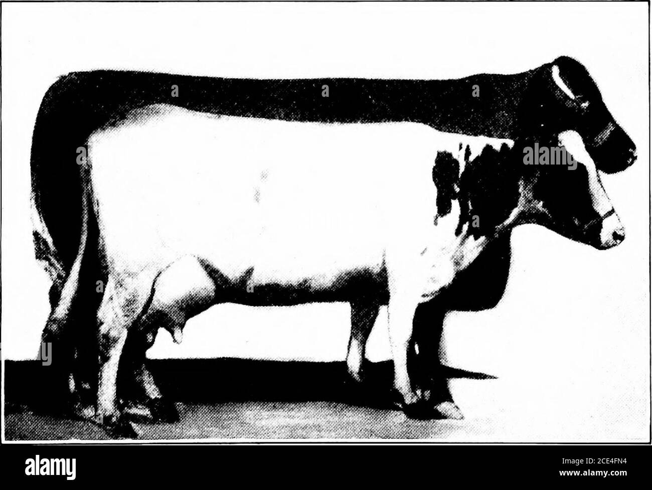 S 20 23 4 Black and White Stock Photos & Images - Alamy