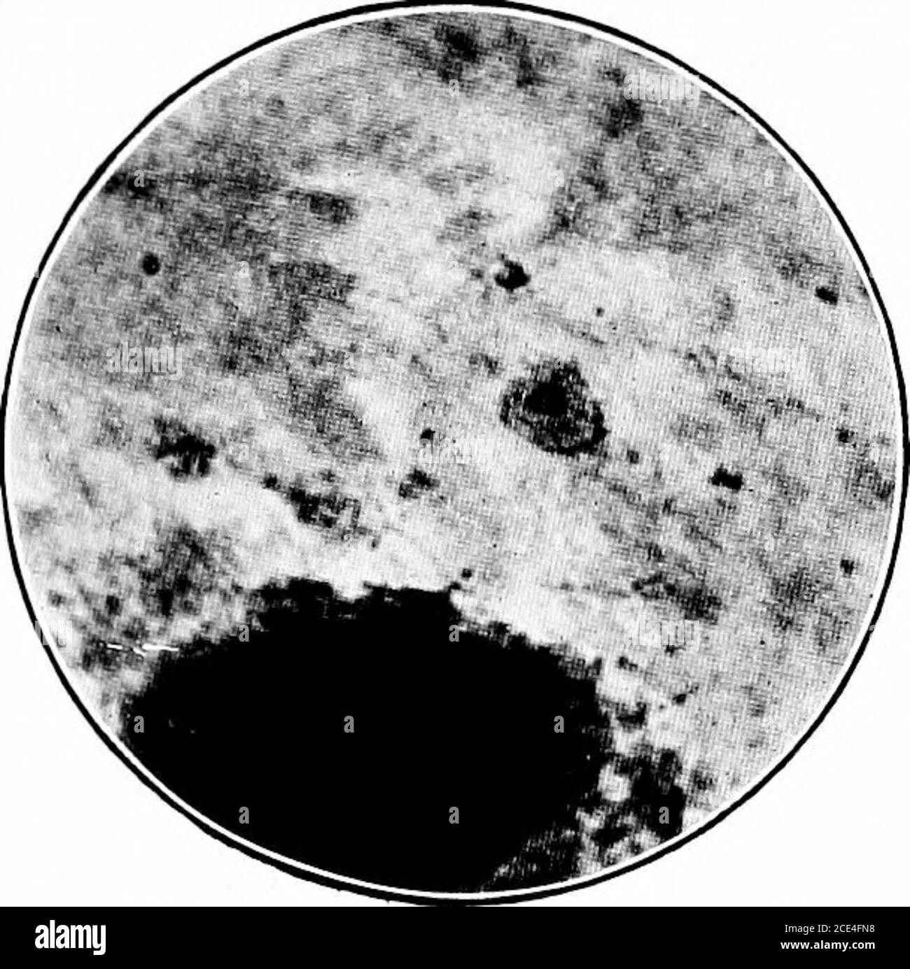 . Pathogenic microörganisms; a practical manual for students ...