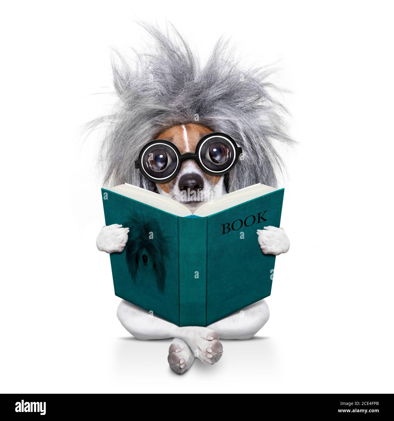 Jack Read Cut Out Stock Images & Pictures - Alamy