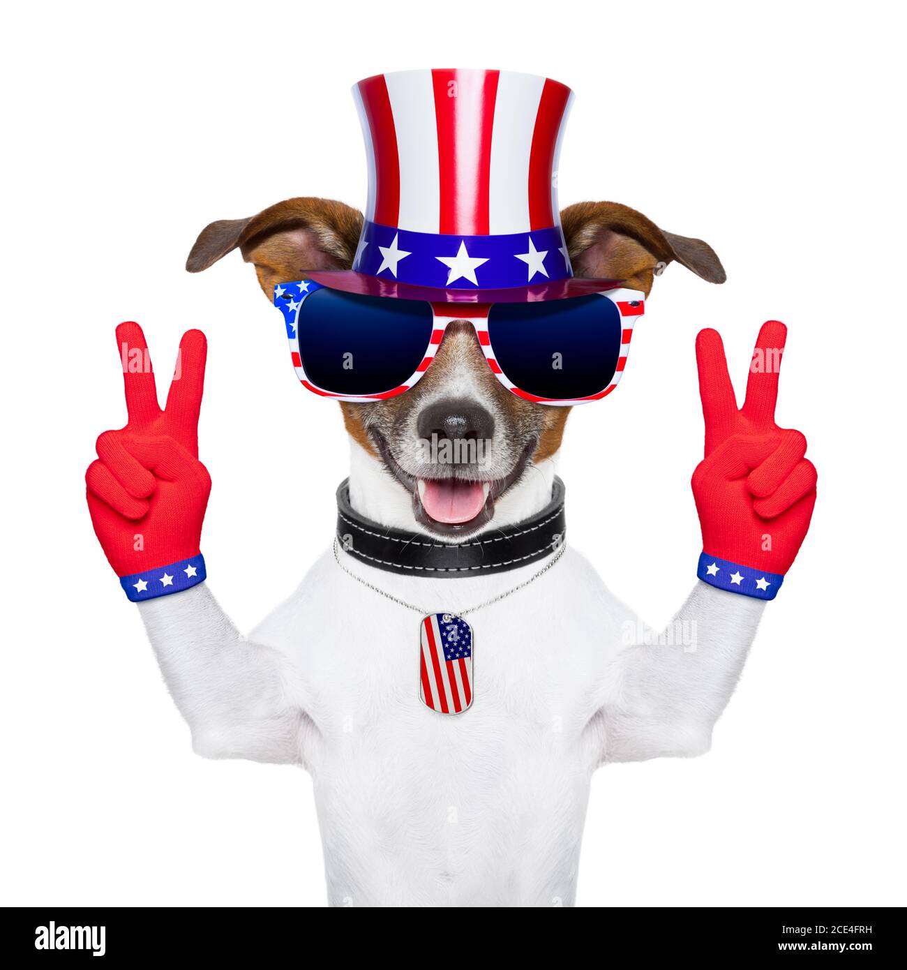 usa american dog Stock Photo - Alamy
