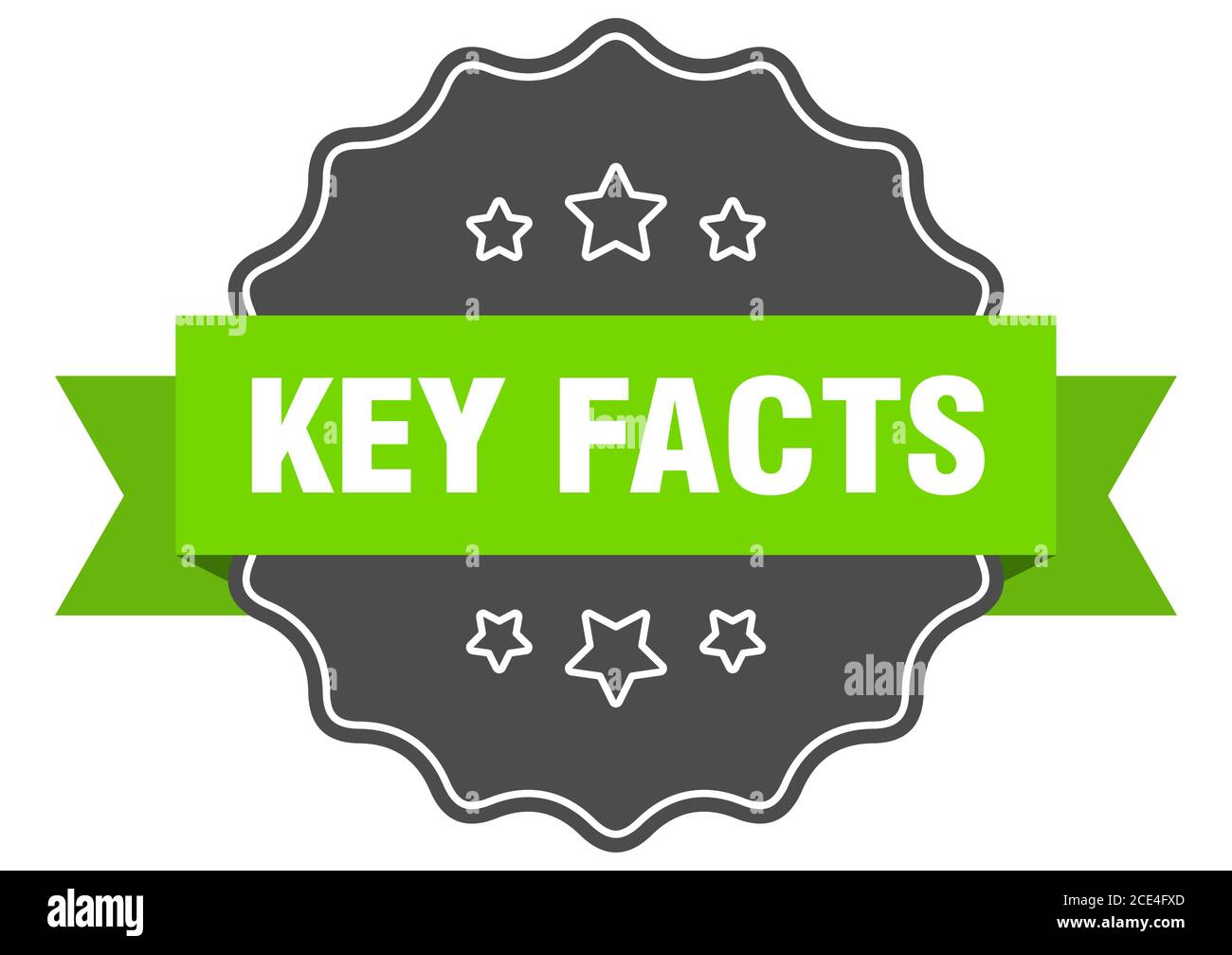 key facts label. key facts isolated seal. Retro sticker sign Stock ...